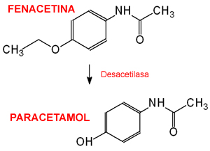 Fenacetina; Acetofenetidina