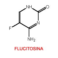 Farmaci antifungini e meccanismi di resistenza - Microbiologia Italia