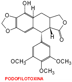 Podofilotoxina; Epipodofilotoxina